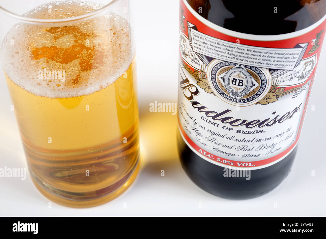 Glas budweiser -Fotos und -Bildmaterial in hoher Auflösung – Alamy
