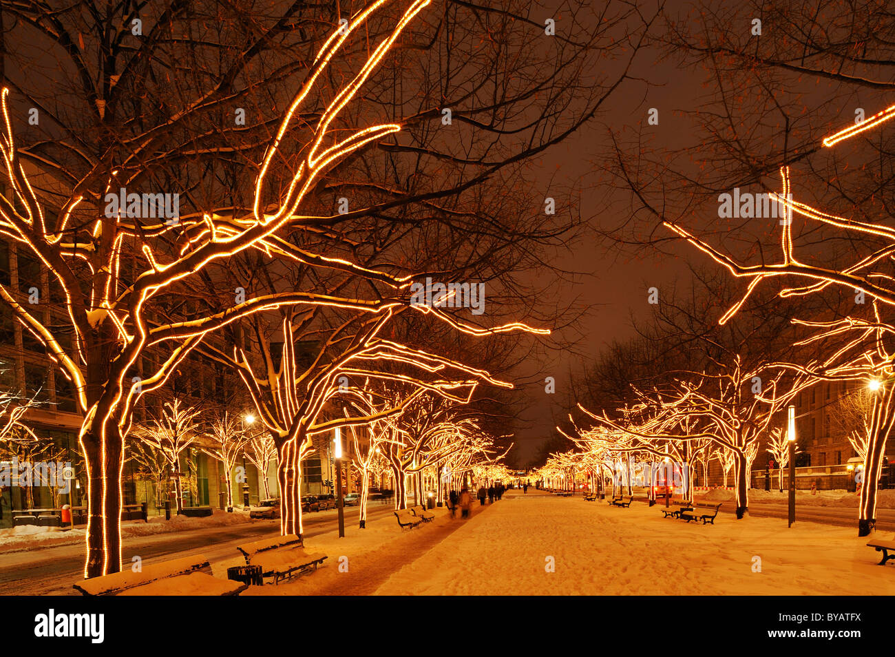 Weihnachtsbeleuchtung an unter den linden -Fotos und -Bildmaterial in ...