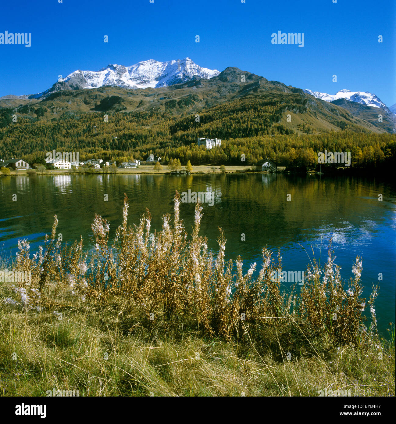 Den Silsersee See vor Mt. Piz Corvatsch, Upper Engadin, Schweiz, Europa ...