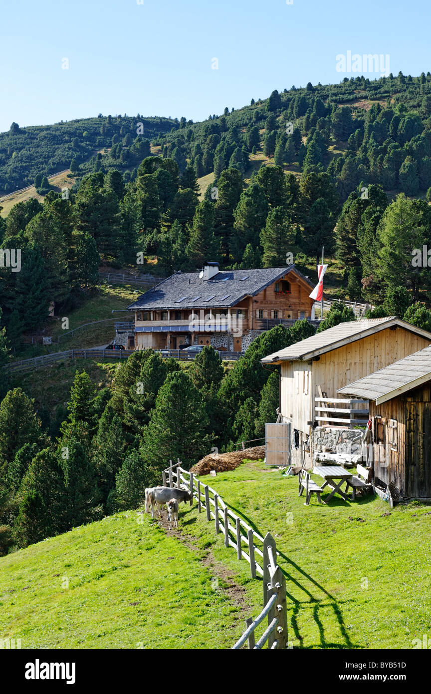 Villanderer Alm, Alp Alm mit Käserei, Mt Kasereck, Sarntal Alpen am ...