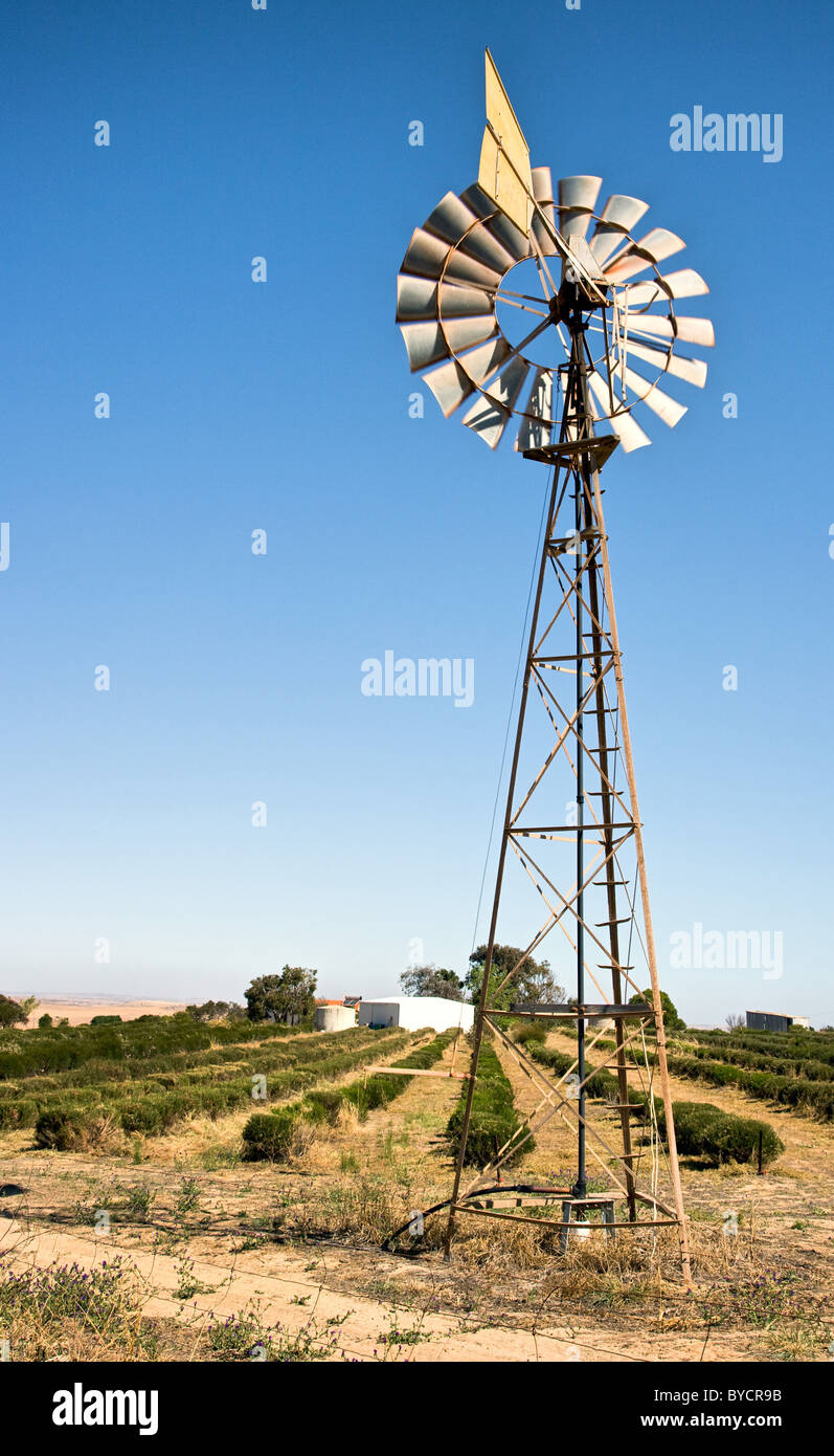 Windpumpe pumpe -Fotos und -Bildmaterial in hoher Auflösung – Alamy