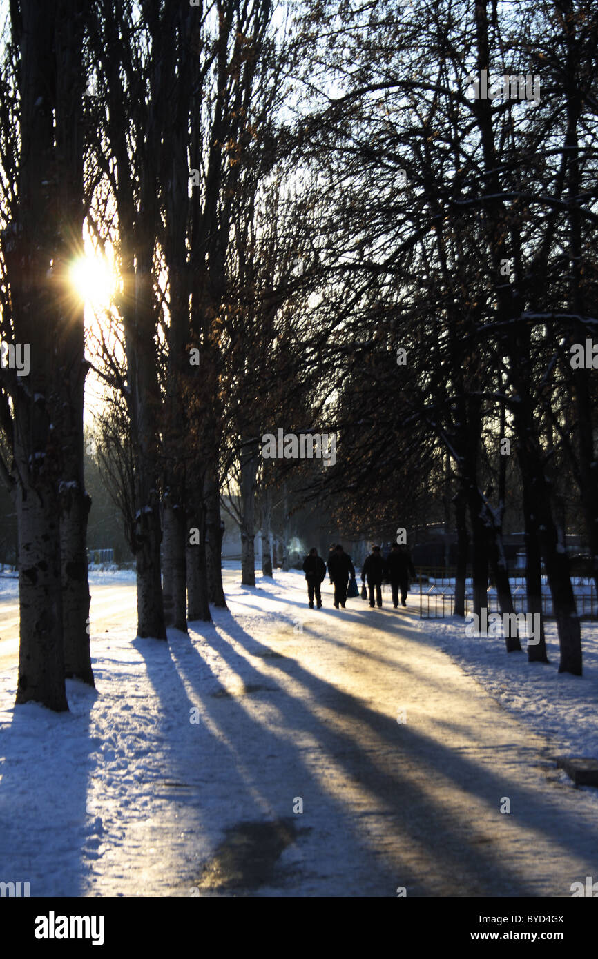 15 grados -Fotos und -Bildmaterial in hoher Auflösung – Alamy