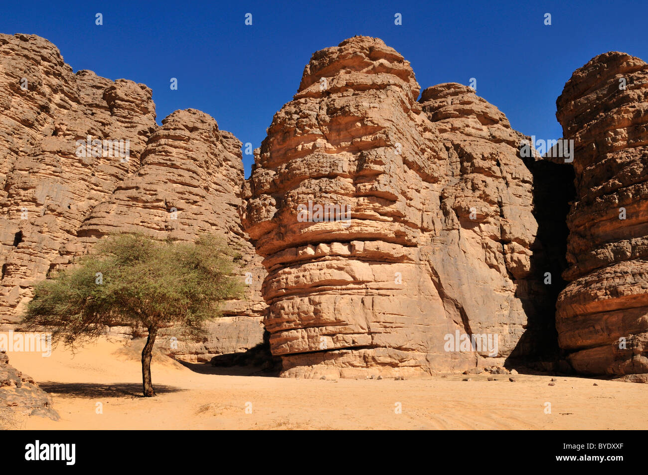 Sandstein-Felsformation im Tassili n ' Ajjer National Park, UNESCO-Weltkulturerbe, Wilaya Illizi ...