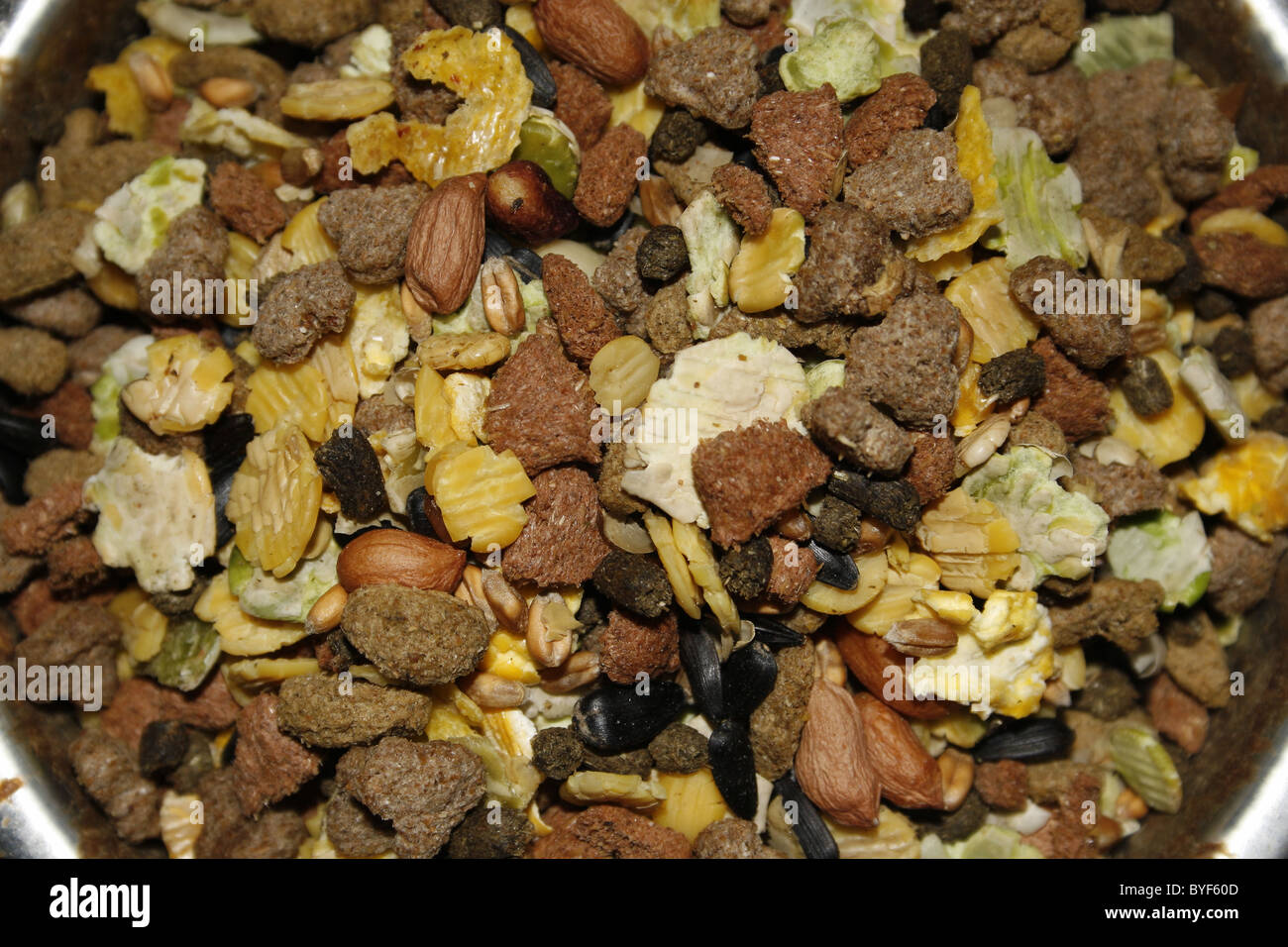 Ratten futter -Fotos und -Bildmaterial in hoher Auflösung – Alamy