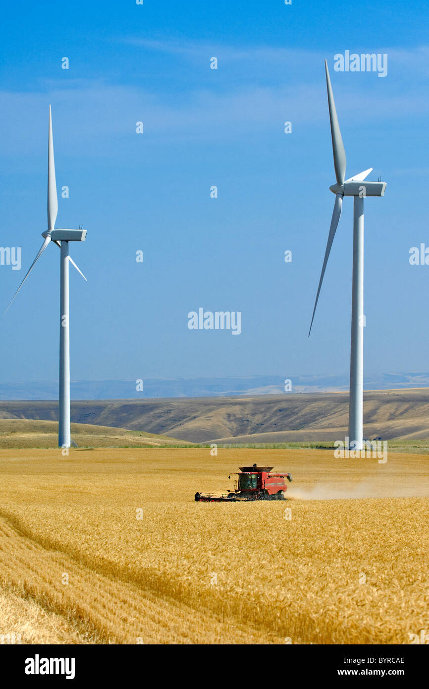 Weizen ernte usa -Fotos und -Bildmaterial in hoher Auflösung – Alamy