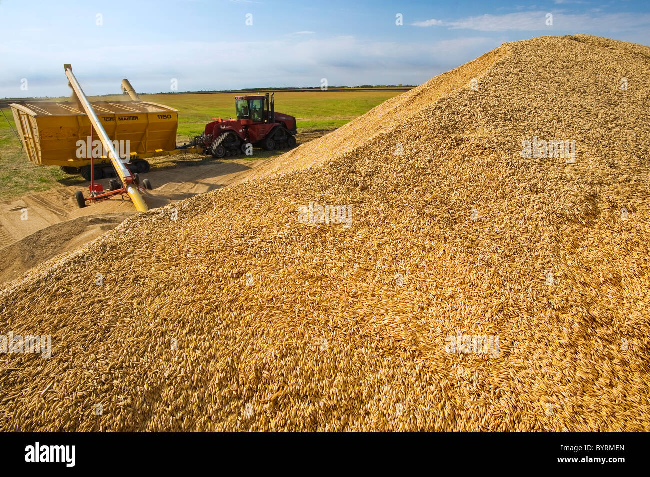 Felder von hafer -Fotos und -Bildmaterial in hoher Auflösung – Alamy