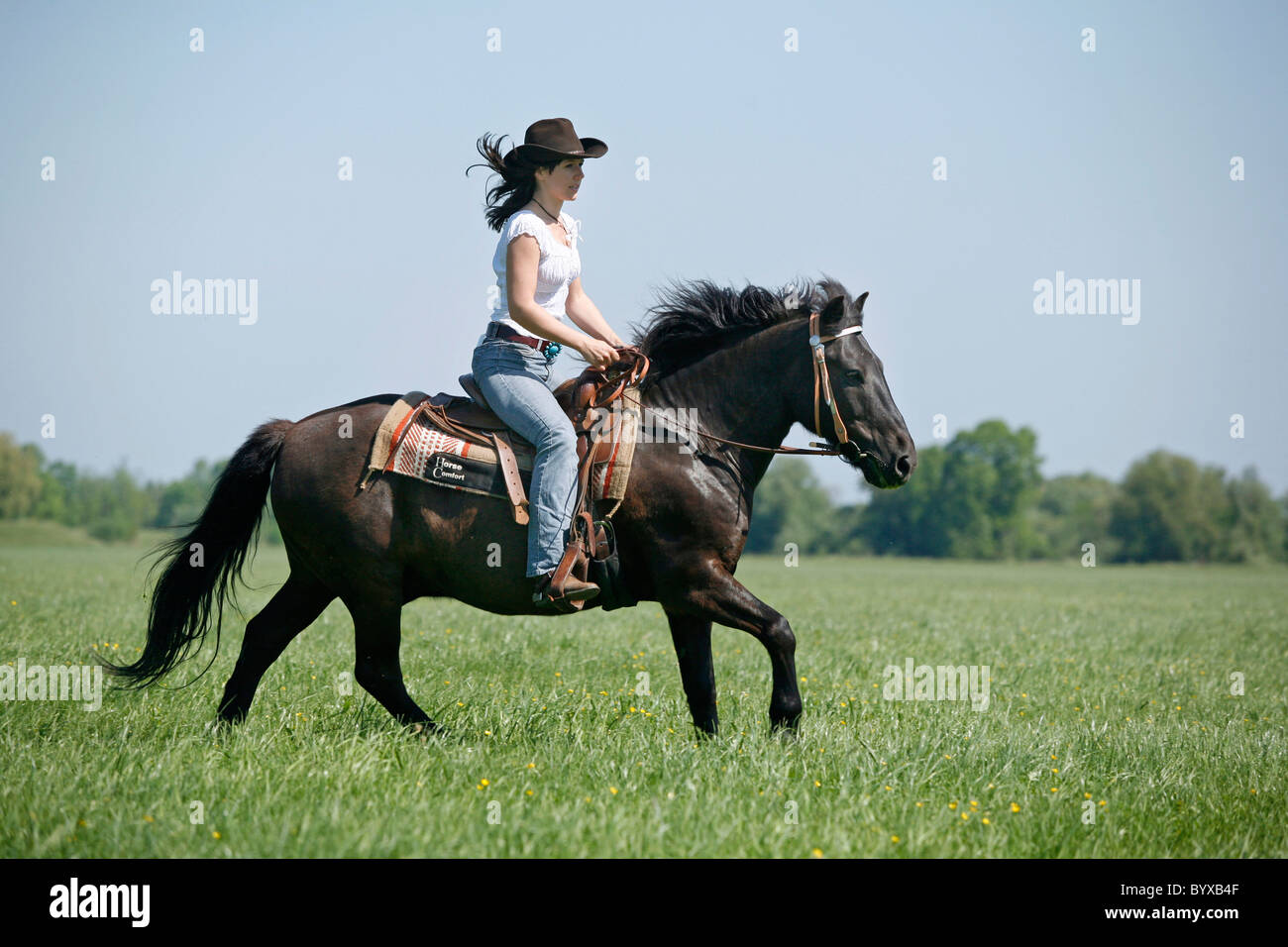 Reiter galoppieren im galopp -Fotos und -Bildmaterial in hoher Auflösung - Seite 2 - Alamy