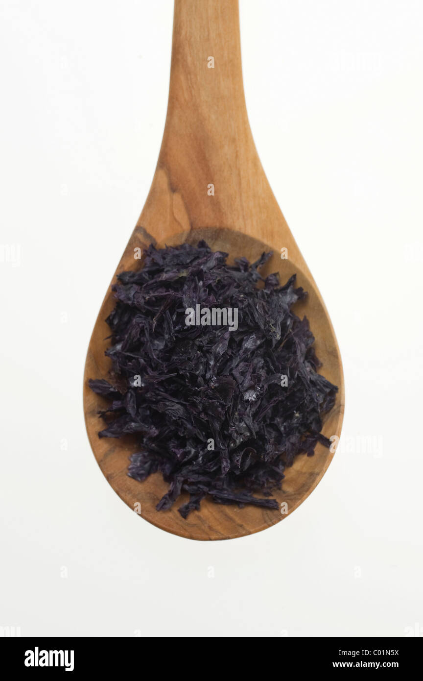 Pyropia tenera -Fotos und -Bildmaterial in hoher Auflösung – Alamy