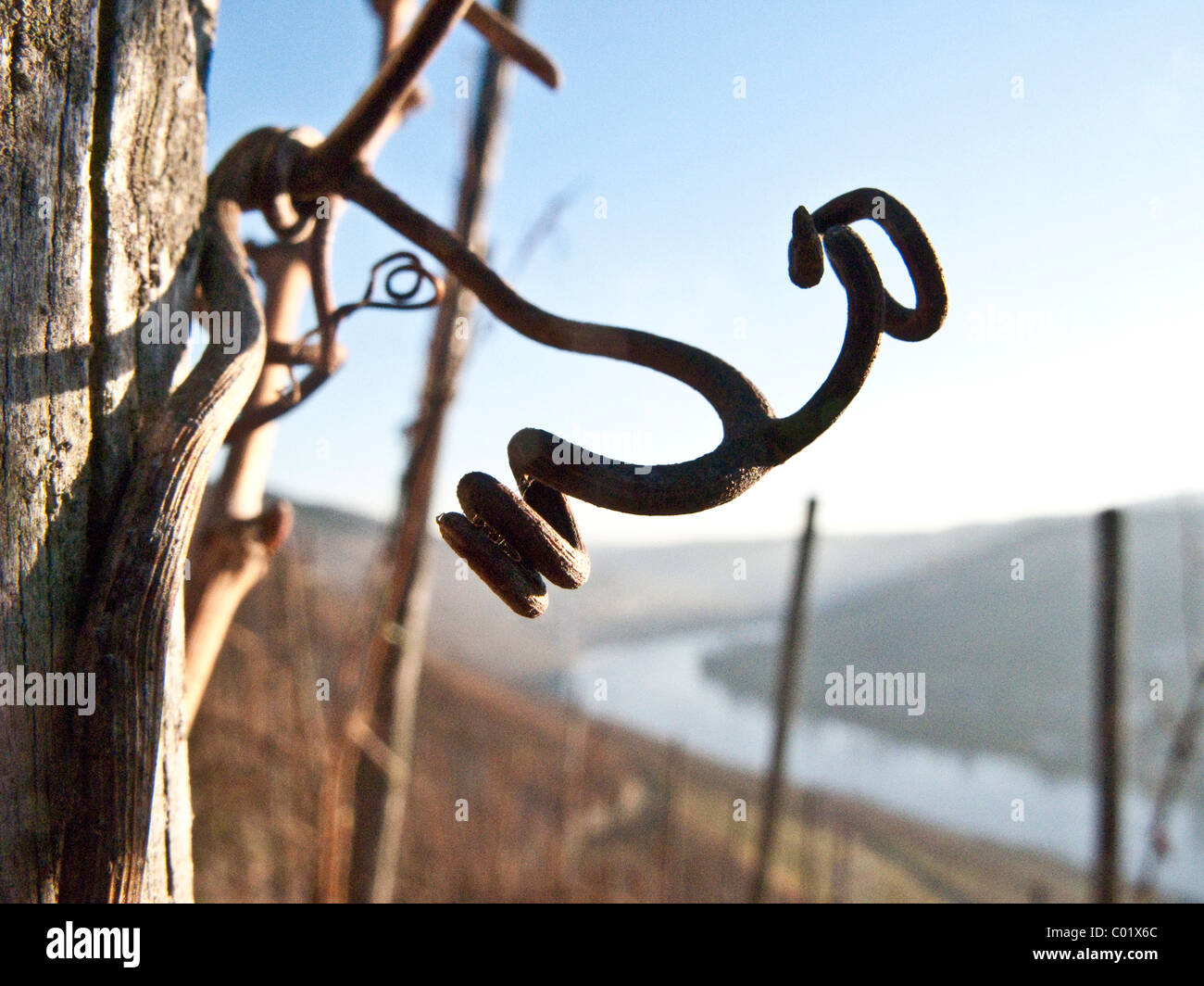 Reben und fluss -Fotos und -Bildmaterial in hoher Auflösung – Alamy