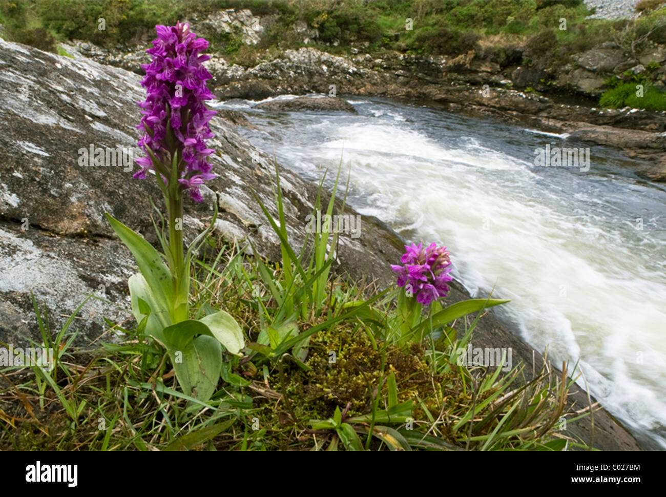 Eriff river -Fotos und -Bildmaterial in hoher Auflösung – Alamy