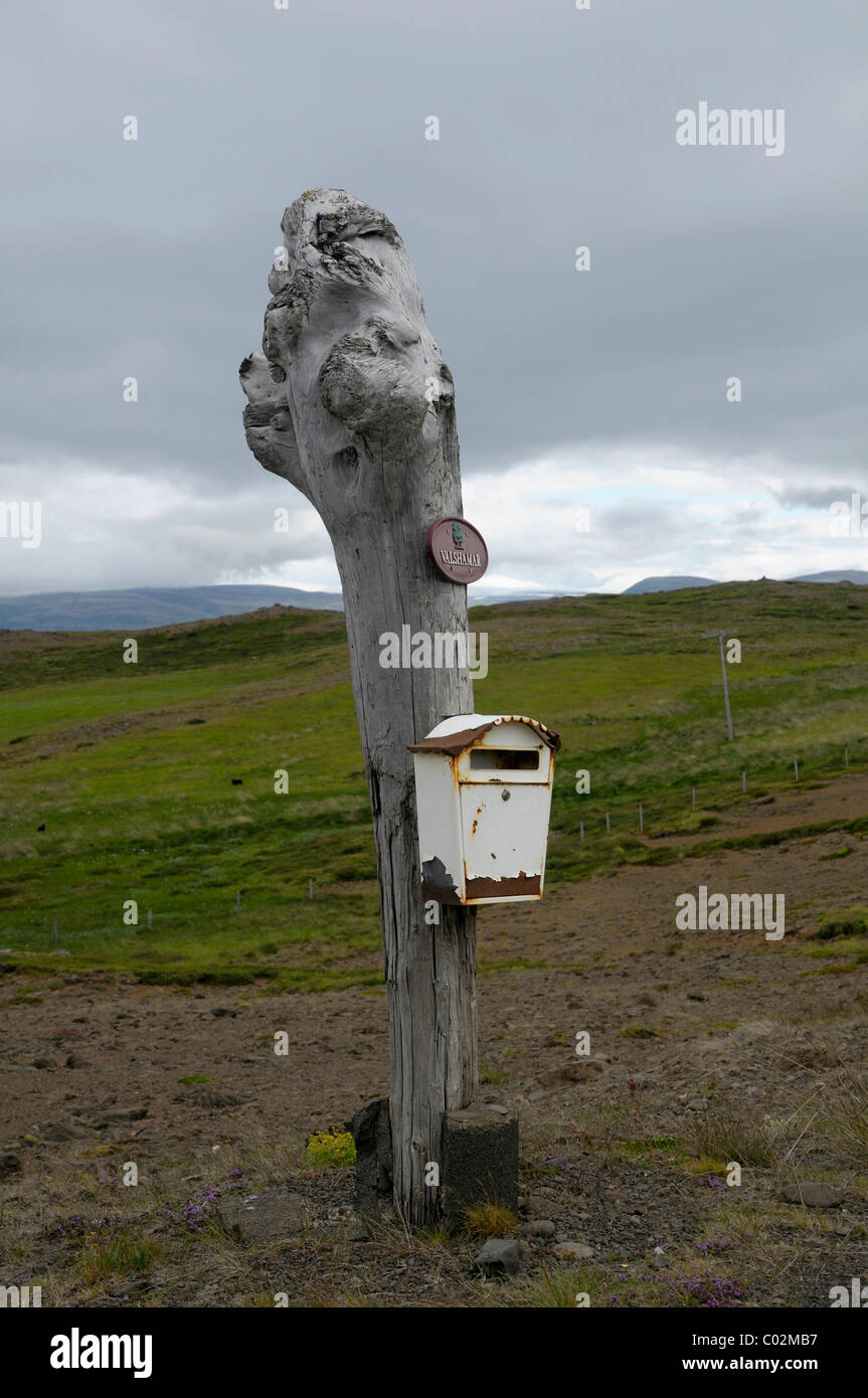 Postfach im baum -Fotos und -Bildmaterial in hoher Auflösung – Alamy
