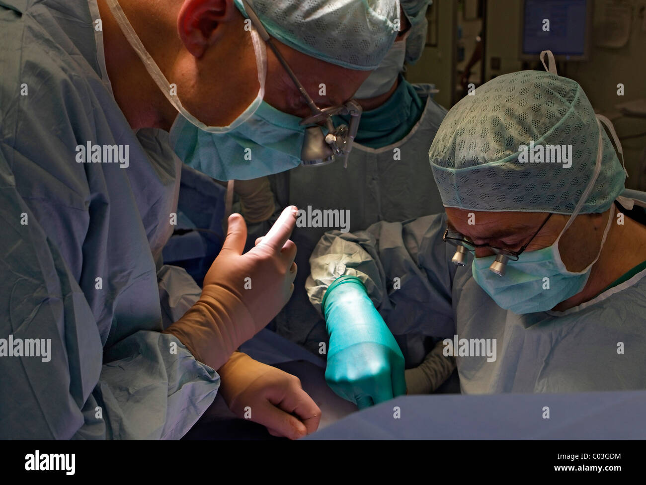 Arteria carotis interna -Fotos und -Bildmaterial in hoher Auflösung – Alamy