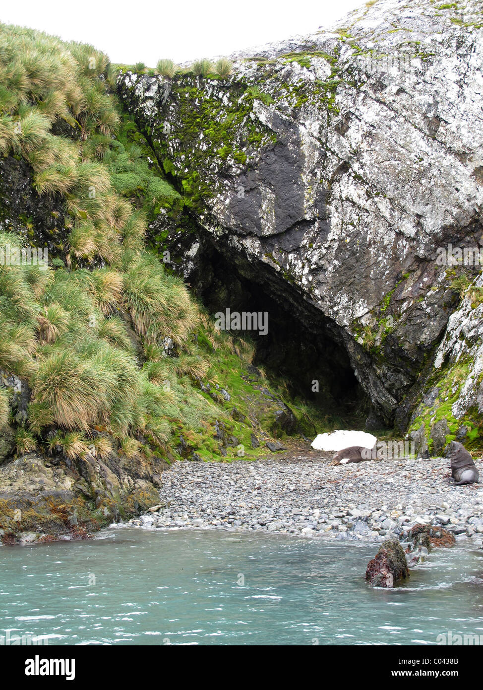 Am ehesten Shackletons Höhle, King Haakon Bay, Süd-Georgien (Südküste ...
