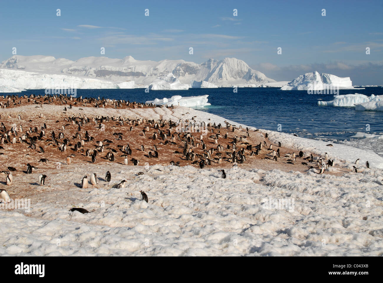 Kolonie kolonien kolonien -Fotos und -Bildmaterial in hoher Auflösung ...