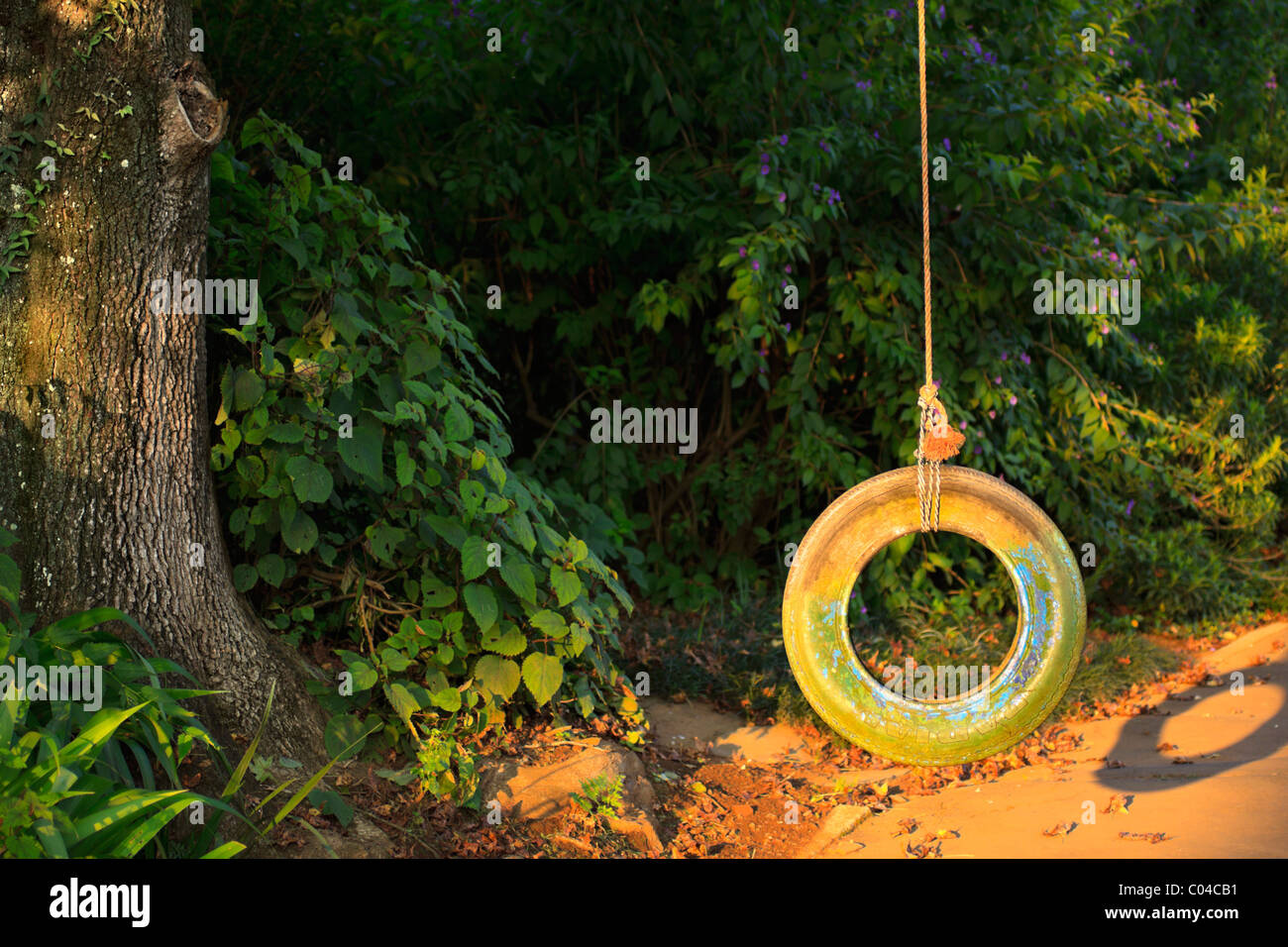 Schaukel baum -Fotos und -Bildmaterial in hoher Auflösung – Alamy