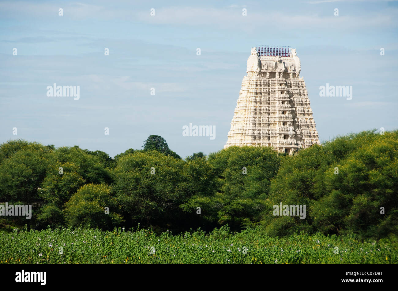 Tirupati temple andhra pradesh -Fotos und -Bildmaterial in hoher Auflösung – Alamy