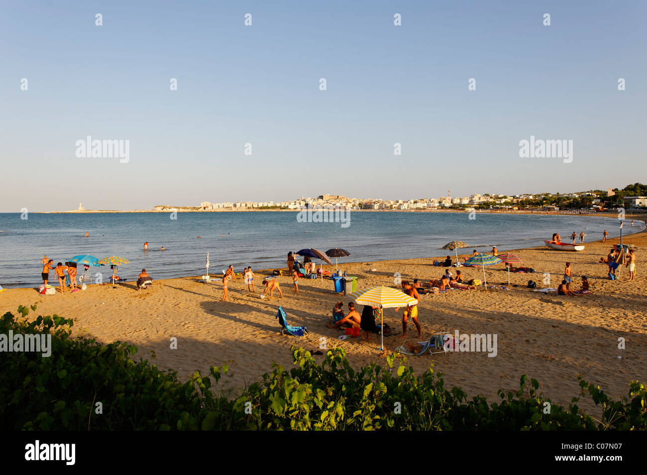 Vieste, Bucht mit Sandstrand, Gargano, Apulien oder Apulien, Süditalien ...