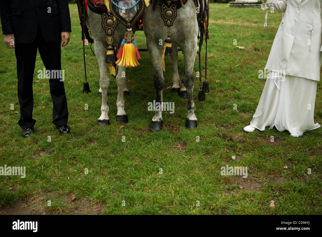 Pferde beine -Fotos und -Bildmaterial in hoher Auflösung – Alamy