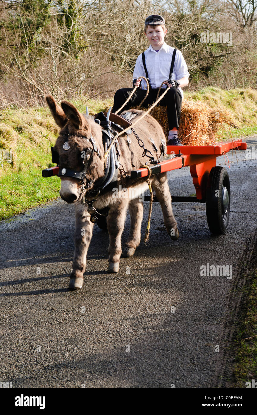 Irish farm boy -Fotos und -Bildmaterial in hoher Auflösung – Alamy