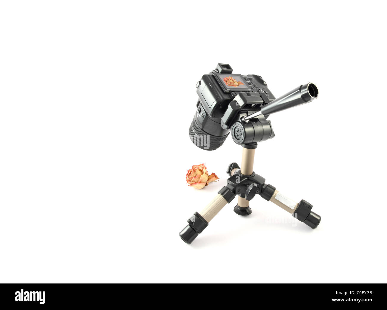 Mini stativ verwenden -Fotos und -Bildmaterial in hoher Auflösung – Alamy