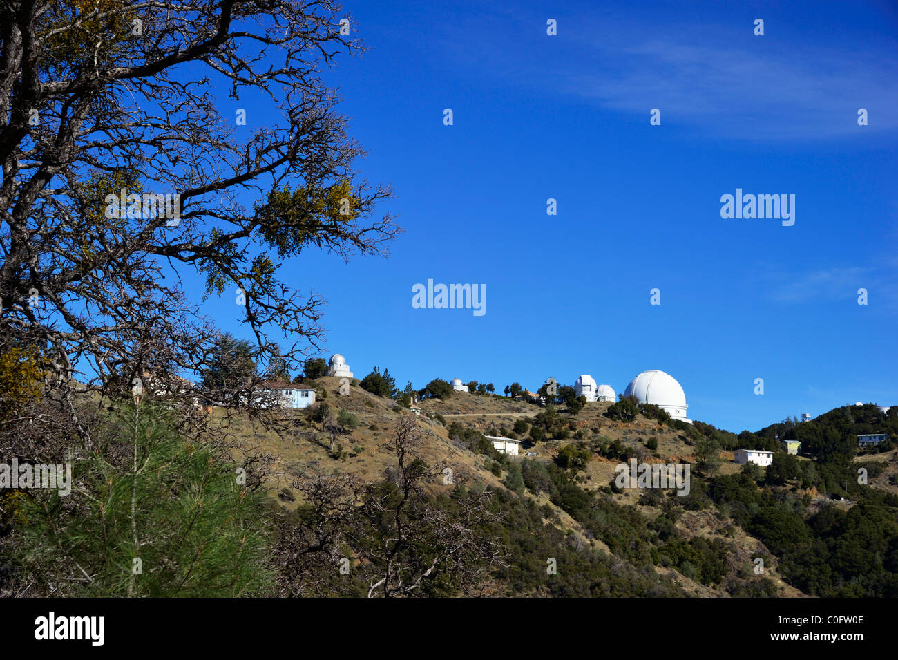 Toller leckrefraktor -Fotos und -Bildmaterial in hoher Auflösung – Alamy
