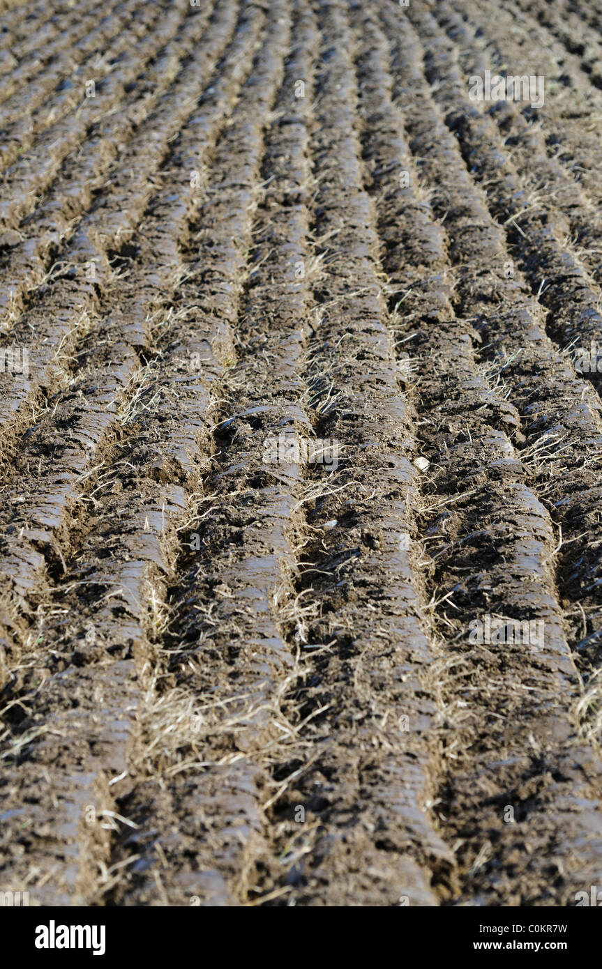 Furchen in einem feld -Fotos und -Bildmaterial in hoher Auflösung – Alamy