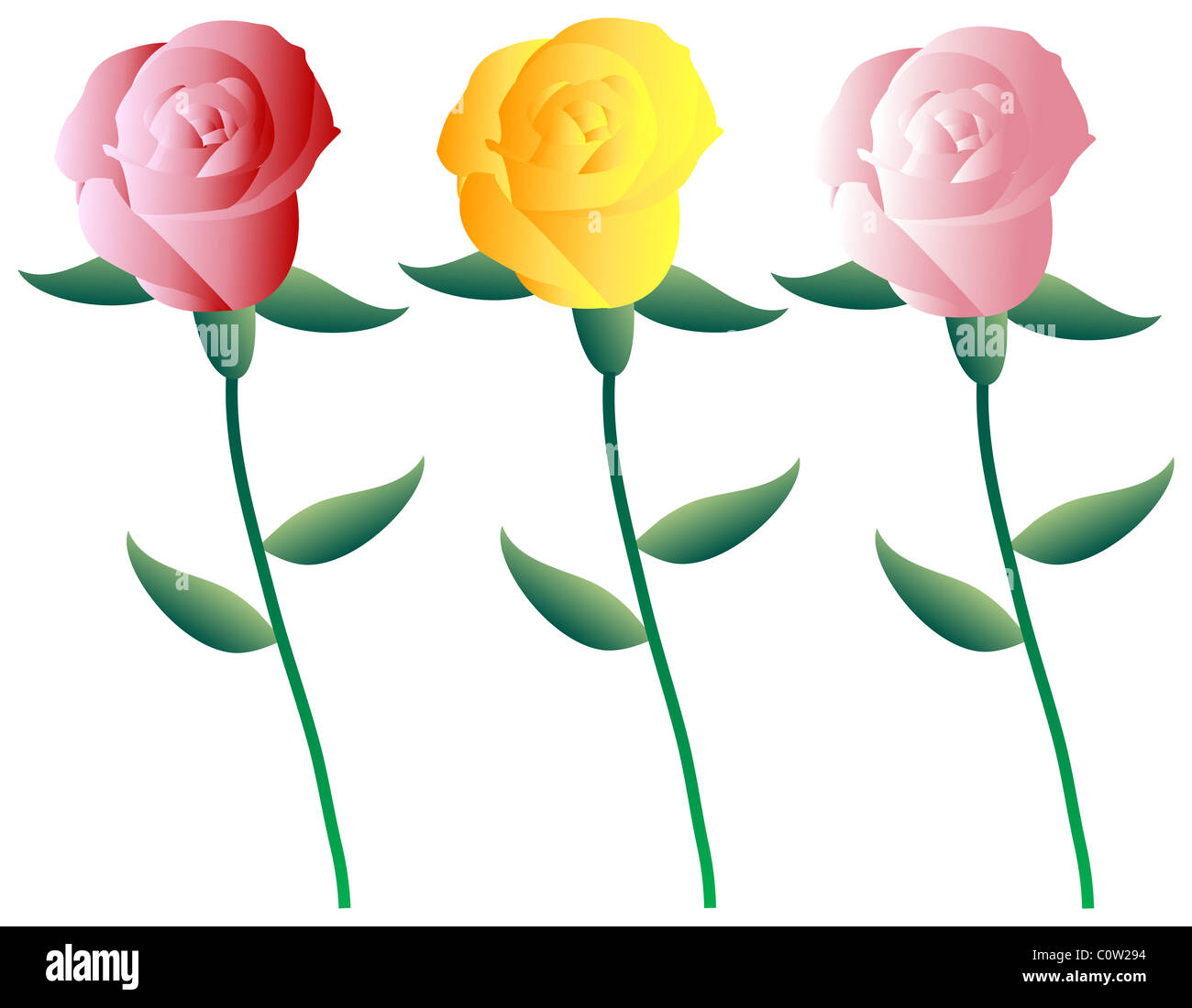Drei rosen gelb -Fotos und -Bildmaterial in hoher Auflösung – Alamy