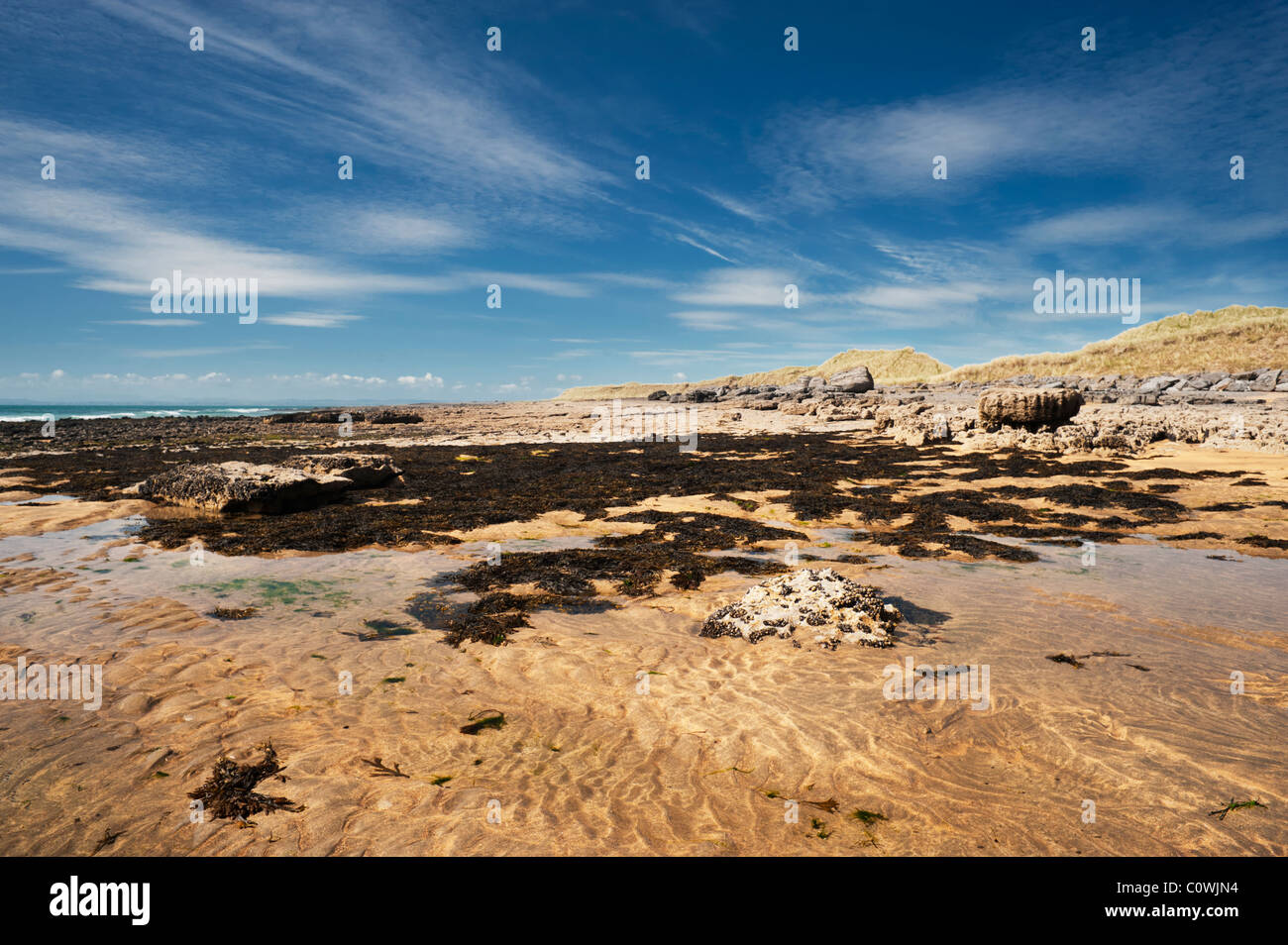 Kalkstein Pflaster am Fanore Strand, Burren, Co Clare, Irland, mit den ...