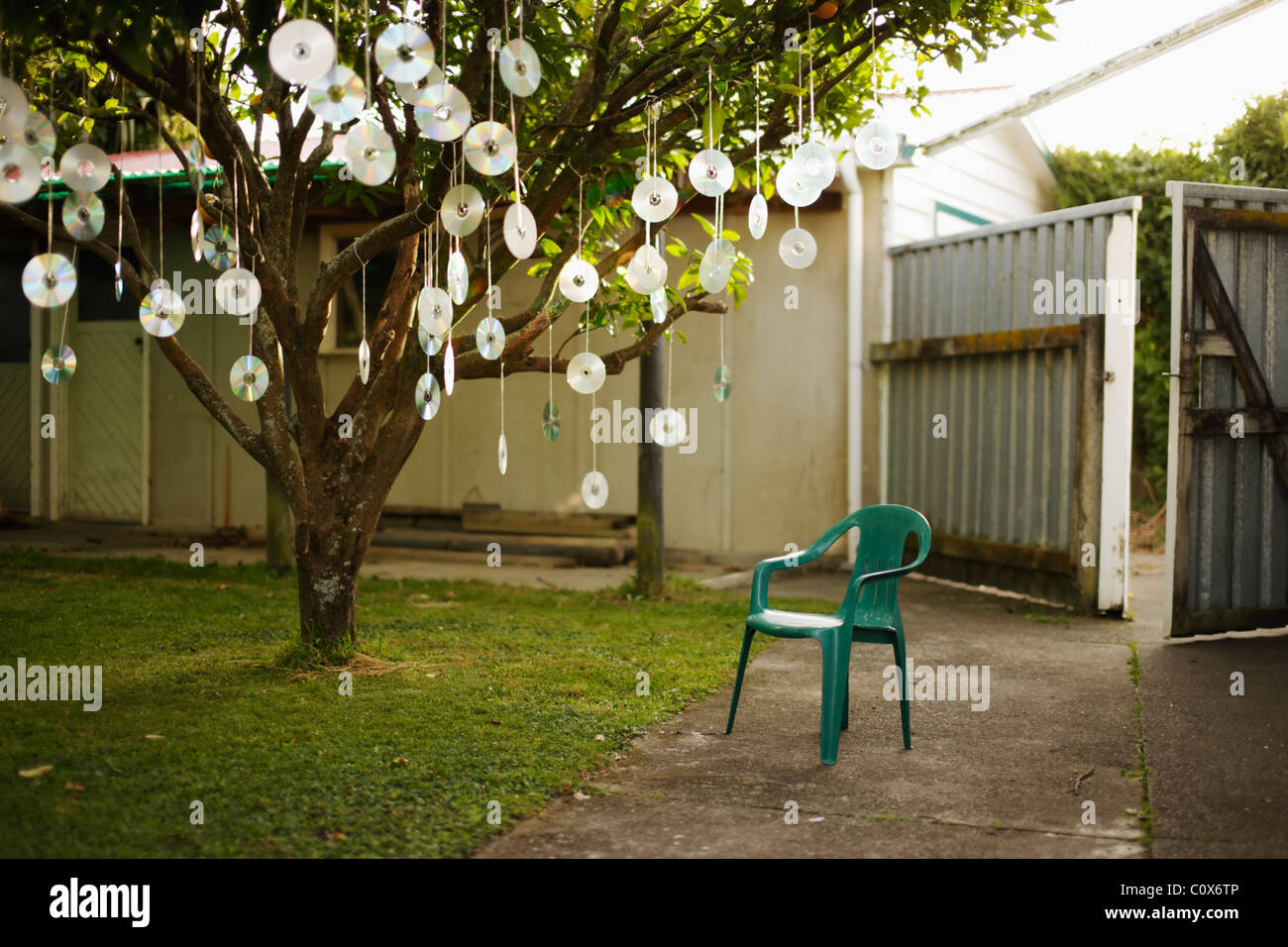 Ihre cds -Fotos und -Bildmaterial in hoher Auflösung – Alamy