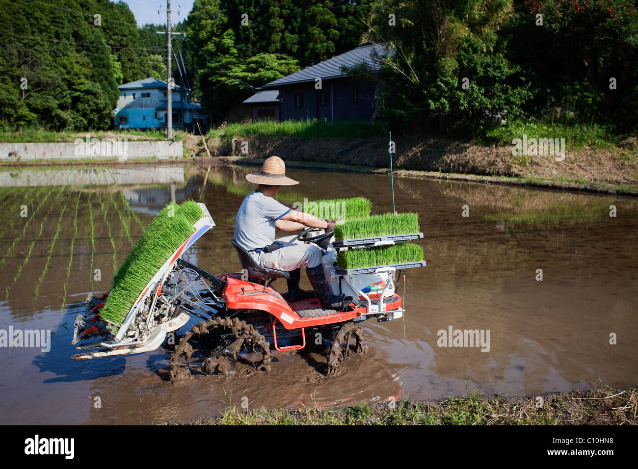 Japanischer Reisbauer Stockfotos und -bilder Kaufen - Alamy