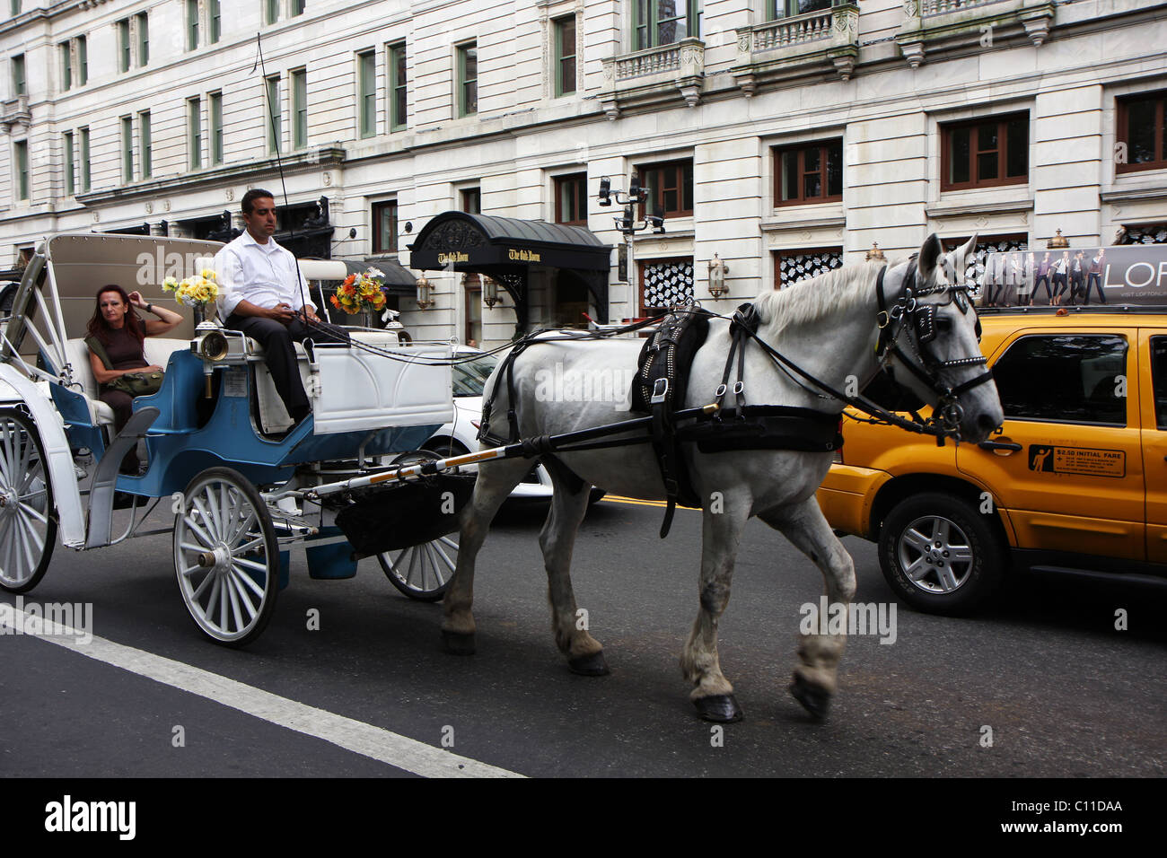 Touristen fahren eine weiße Kutsche mit einem Pferd neben dem Central ...