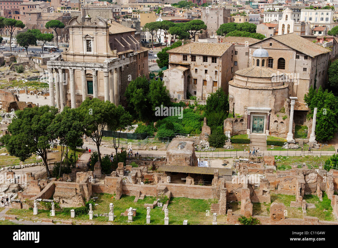 Blick aus dem Palatin auf dem Forum Romanum oder das Forum Romanum, Rom ...