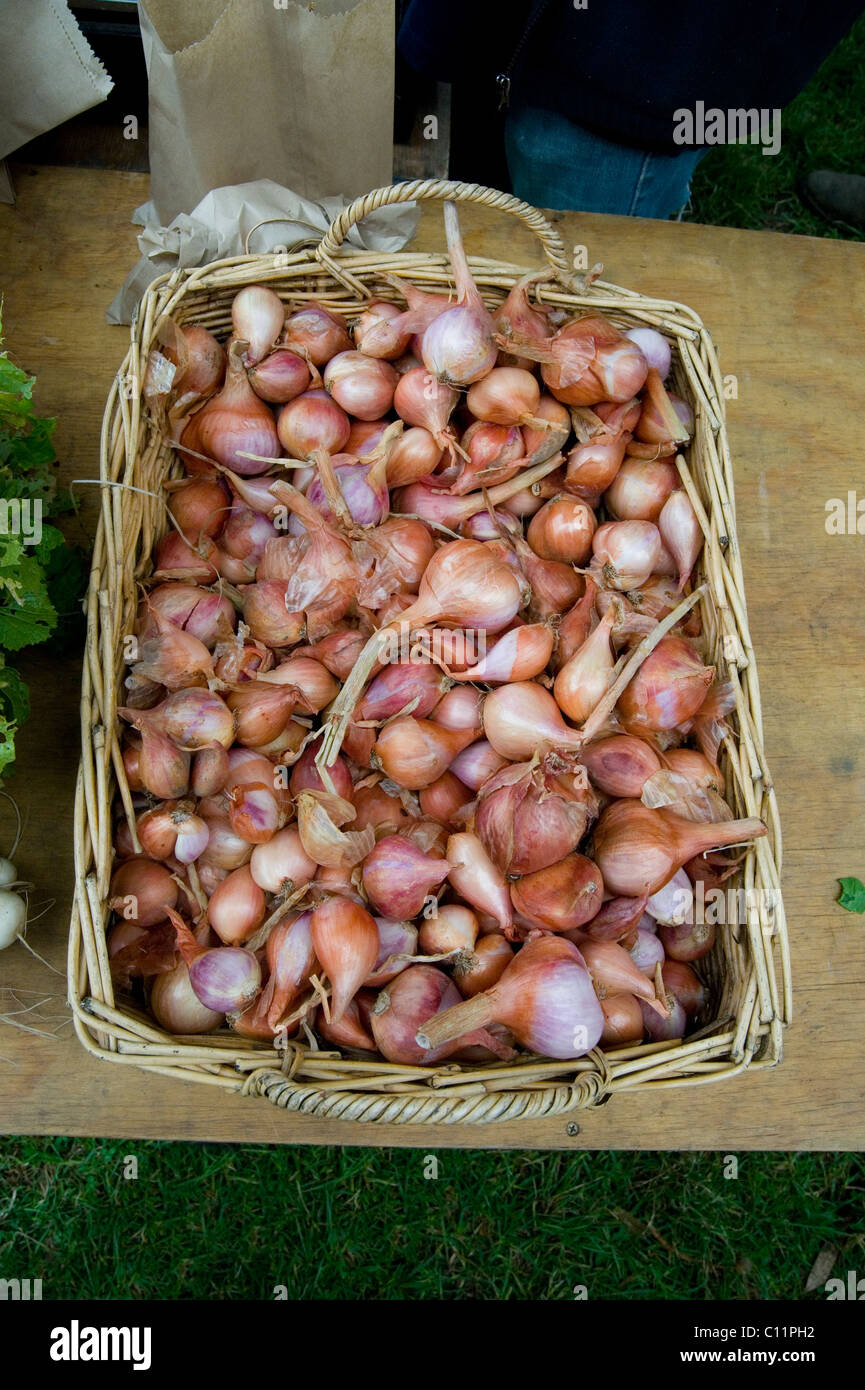 Bilder von schalotten -Fotos und -Bildmaterial in hoher Auflösung – Alamy
