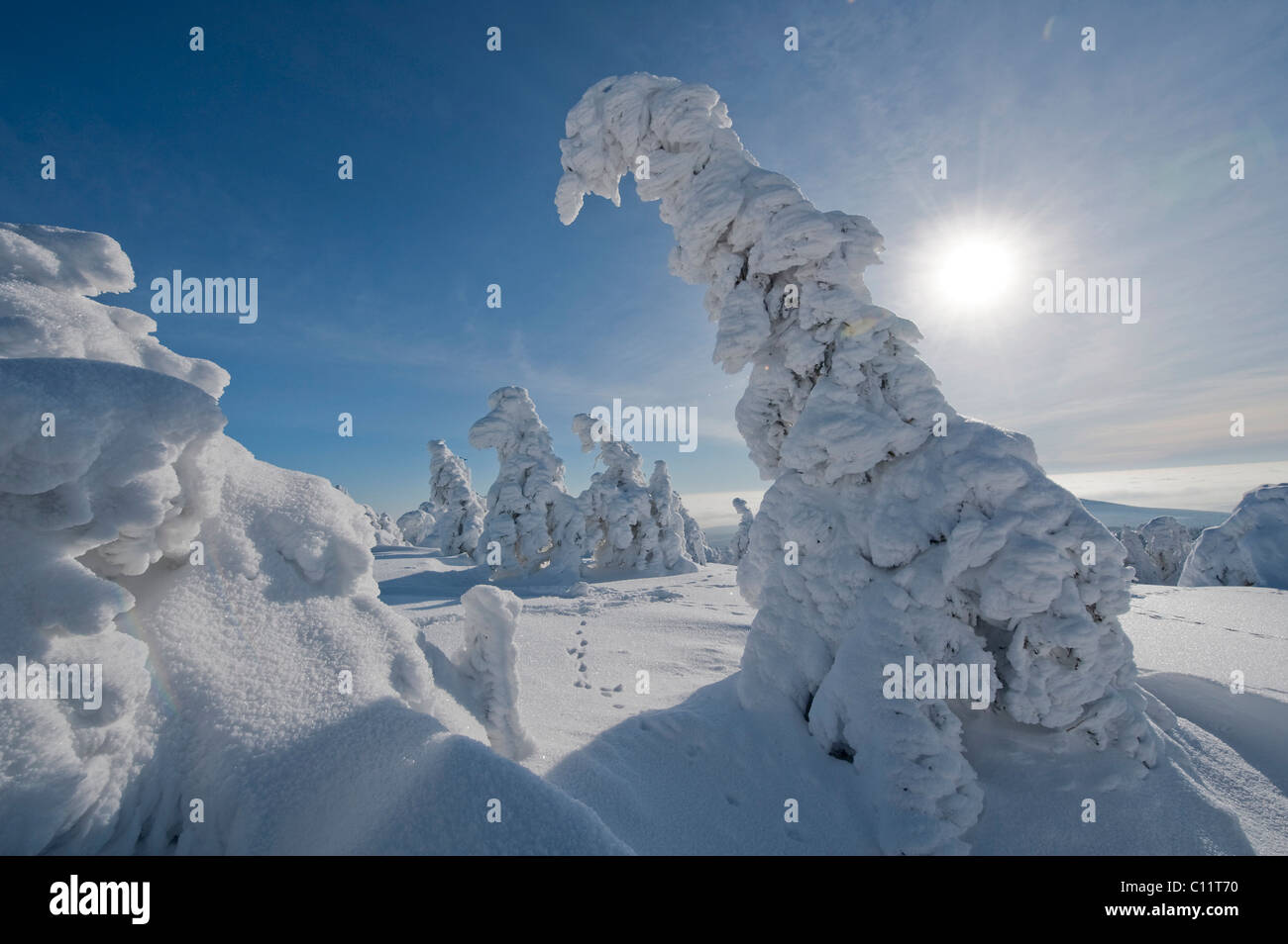 Nationalpark Harz Blocksberg Stockfotos und -bilder Kaufen - Alamy
