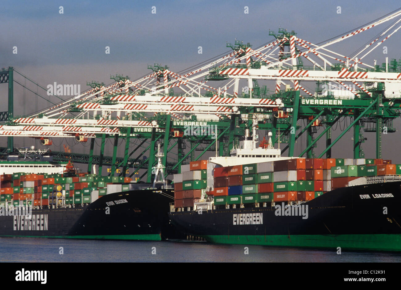 Evergreen Shipping Container Schiffe Port of Los Angeles San Pedro ...