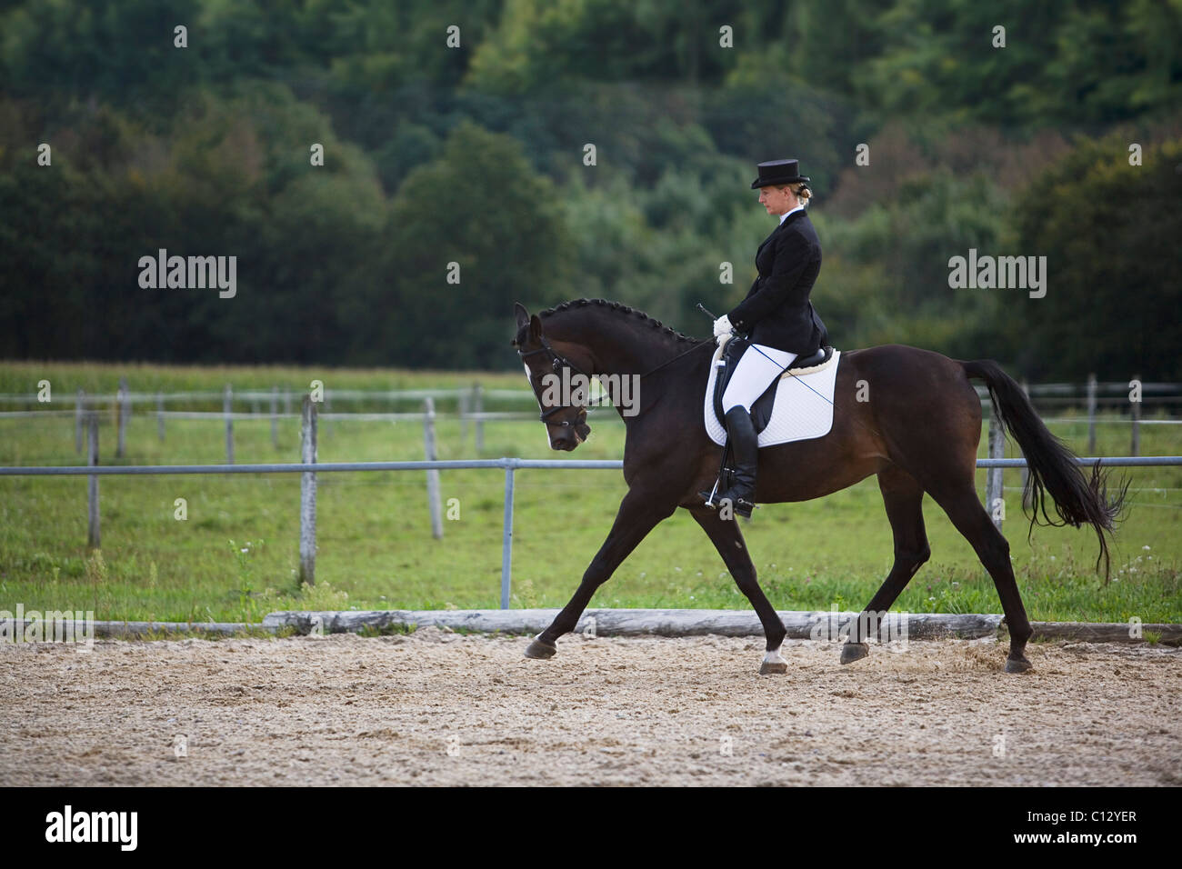 Dressurreiterin mit gerte -Fotos und -Bildmaterial in hoher Auflösung ...