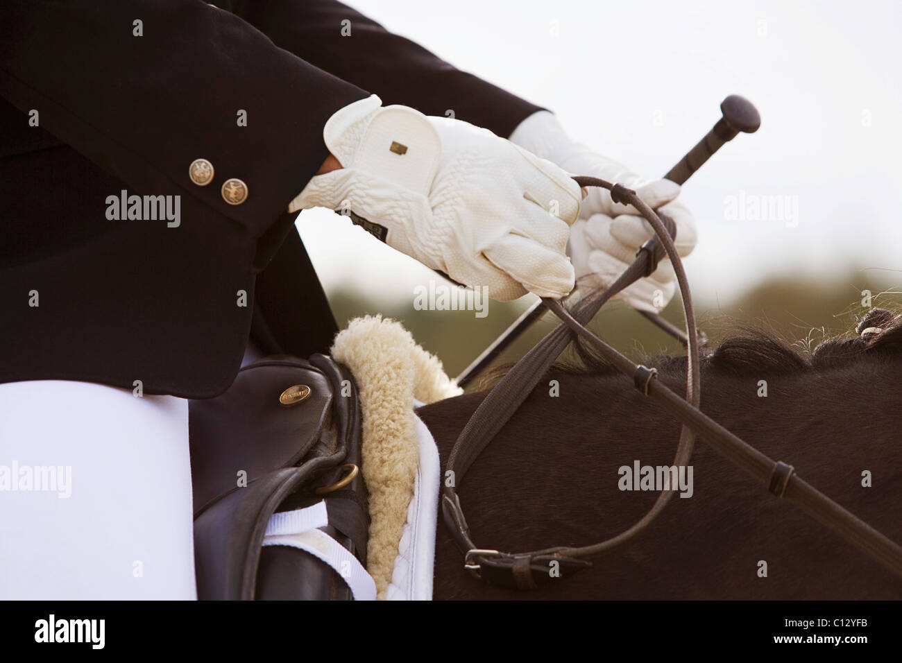 Dressurreiterin mit gerte -Fotos und -Bildmaterial in hoher Auflösung ...