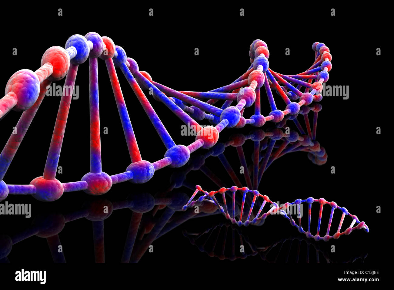 Blaue rote dna kette blau -Fotos und -Bildmaterial in hoher Auflösung ...