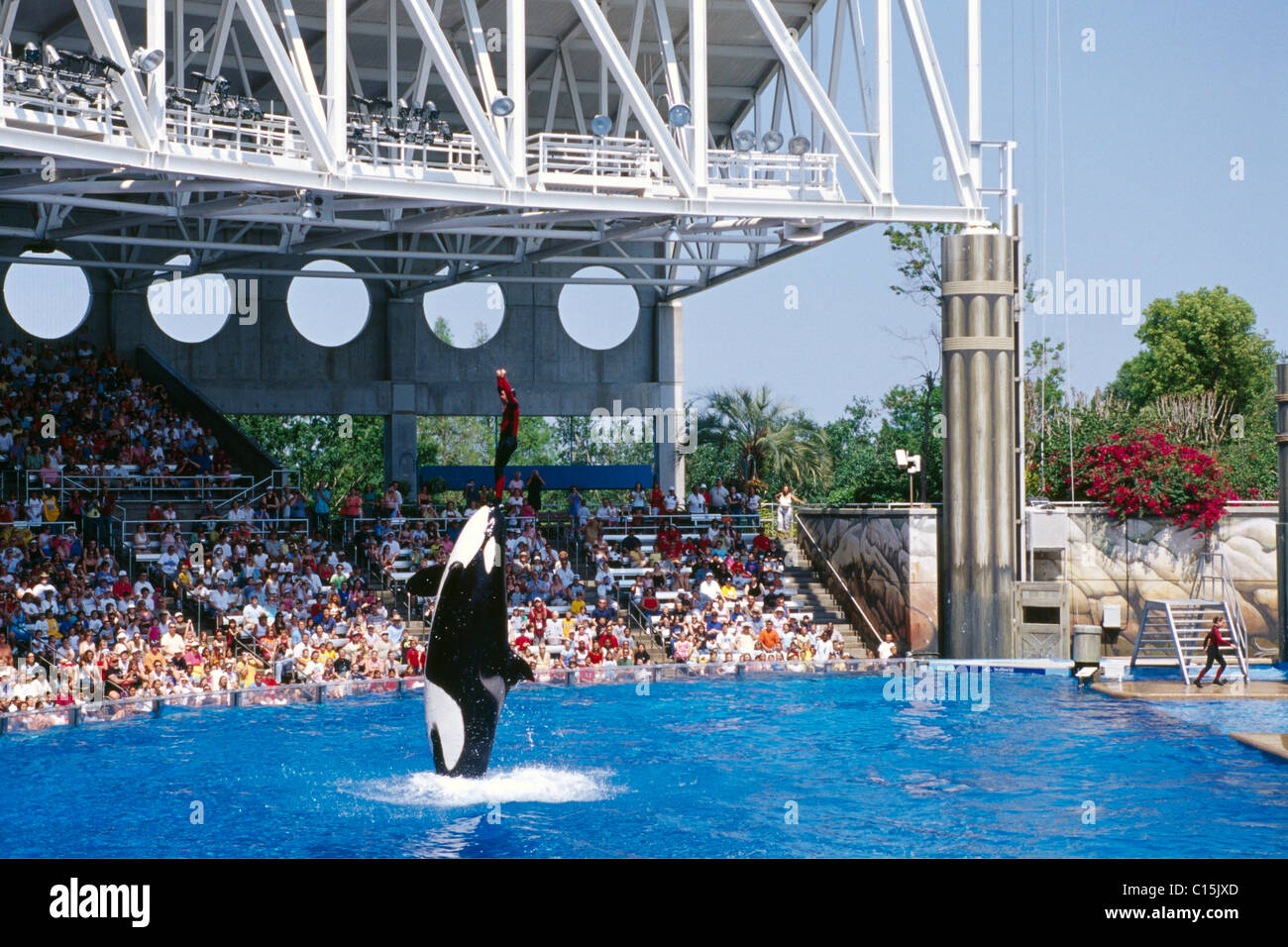 SeaWorld, Orlando, Florida, USA Stockfotografie - Alamy