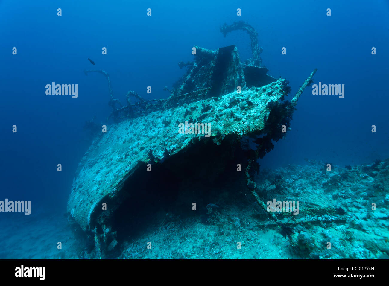 Blick von oben auf das Aida Schiffswrack im Blauwasser, Brother Islands ...