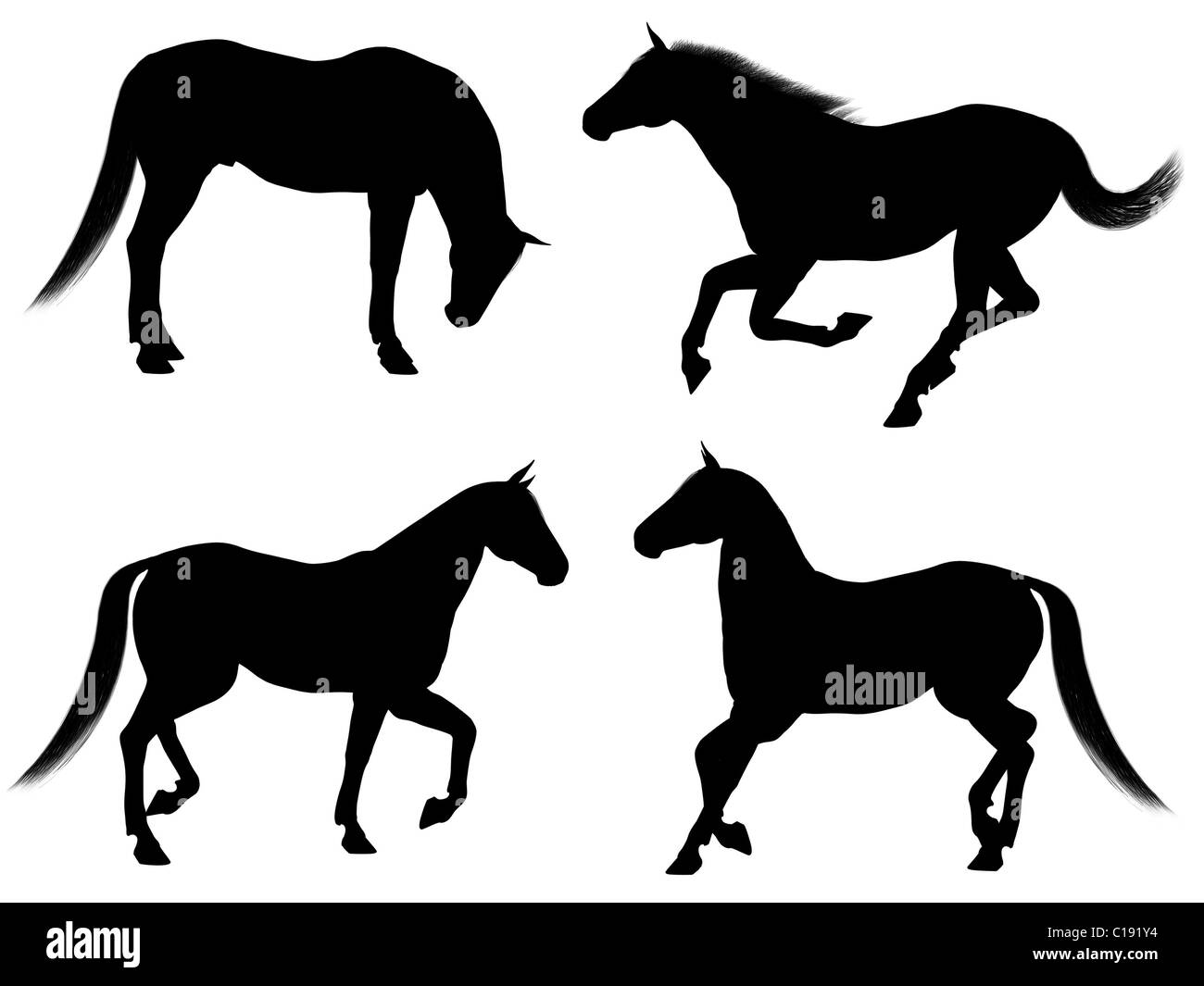Umriss pferd -Fotos und -Bildmaterial in hoher Auflösung – Alamy