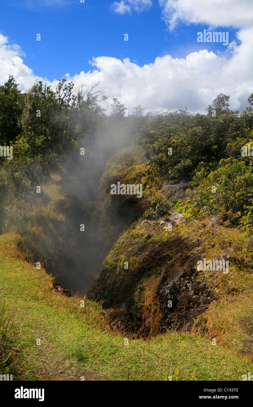 Schwefel Fumarolen im Volcanoes National Park, Kilauea-Vulkan, Big ...