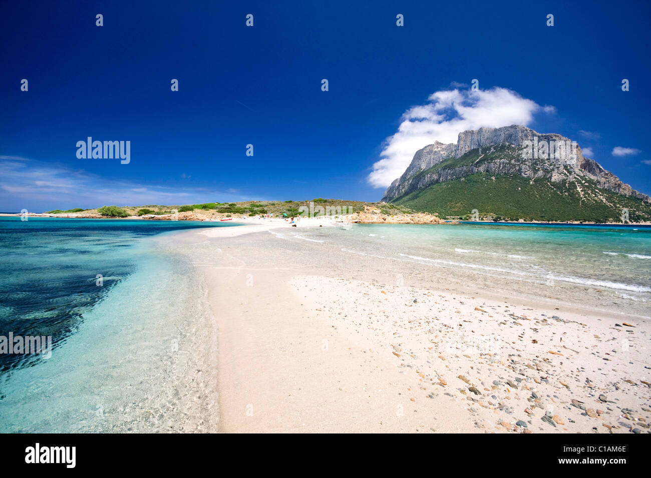 Cala spalmatore -Fotos und -Bildmaterial in hoher Auflösung – Alamy