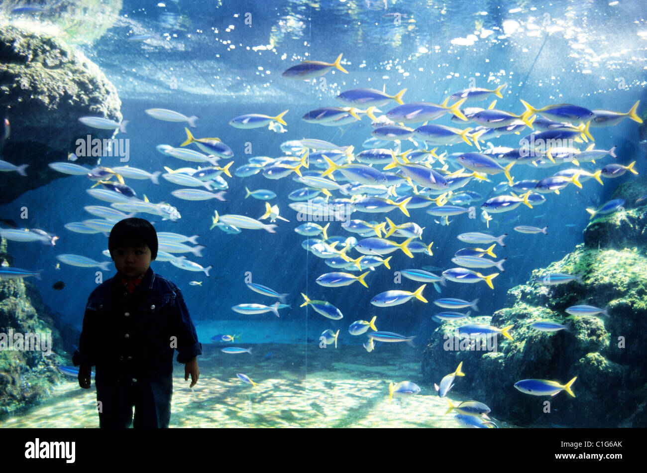 Tokyo sea life park Stockfotos und -bilder Kaufen - Alamy