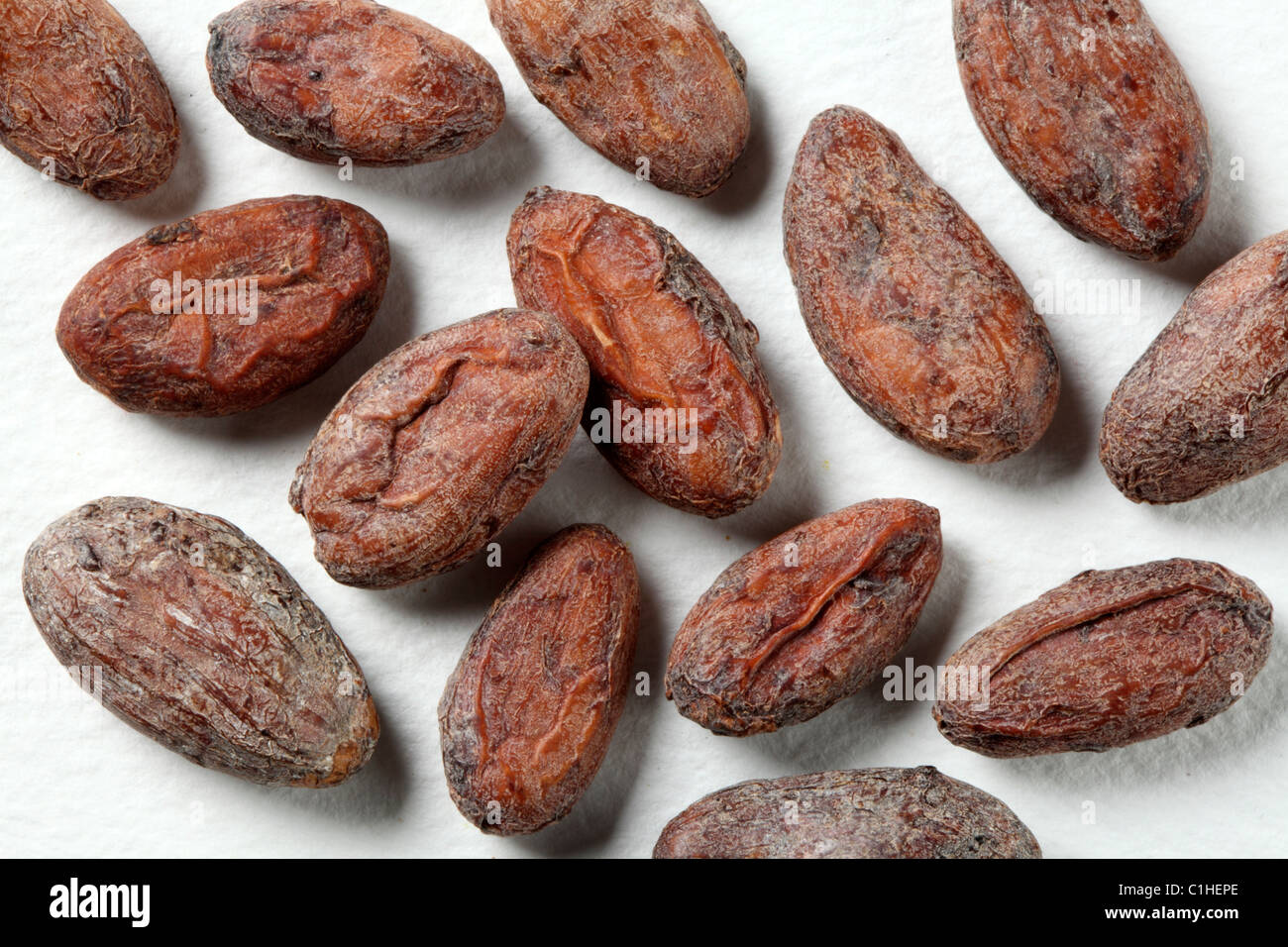 Cacao bohnen -Fotos und -Bildmaterial in hoher Auflösung – Alamy