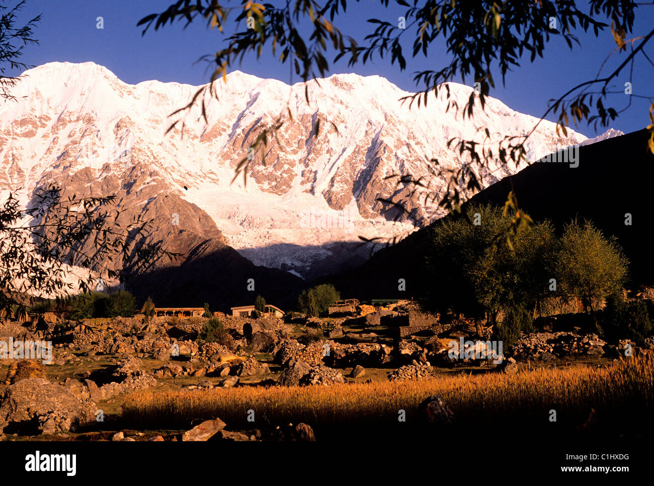 Pakistan, Himalaya, massiv des Nanga Parbat, das Tal Diamar ...