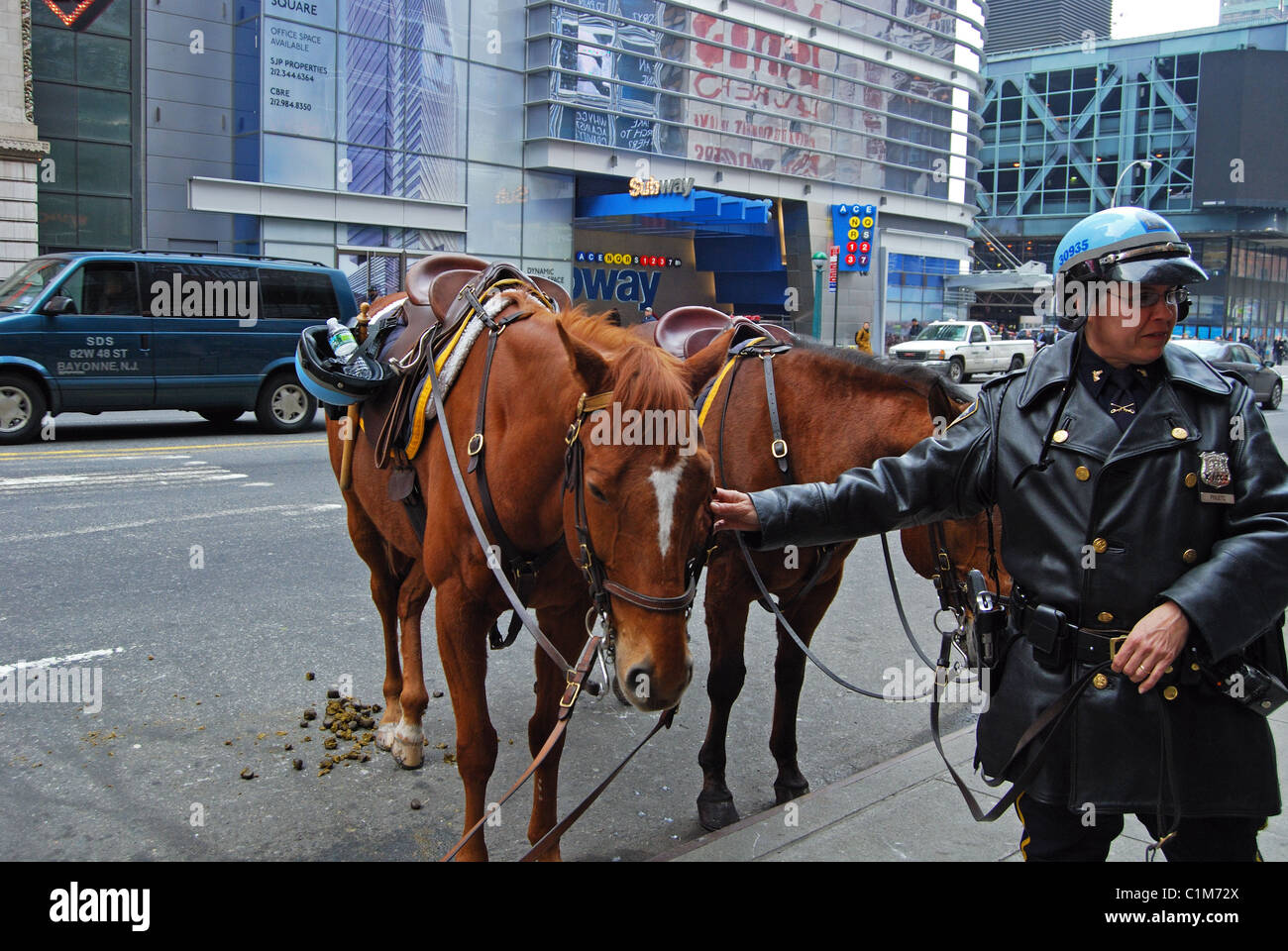 New york polizeipferd -Fotos und -Bildmaterial in hoher Auflösung – Alamy