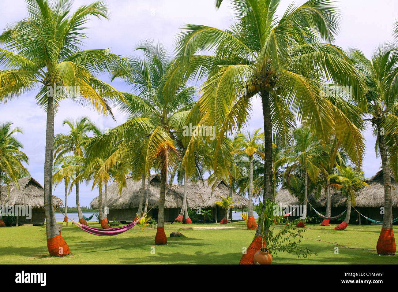 Sapibenega insel wo das kuna lode hotel gefunden werden kann -Fotos und ...