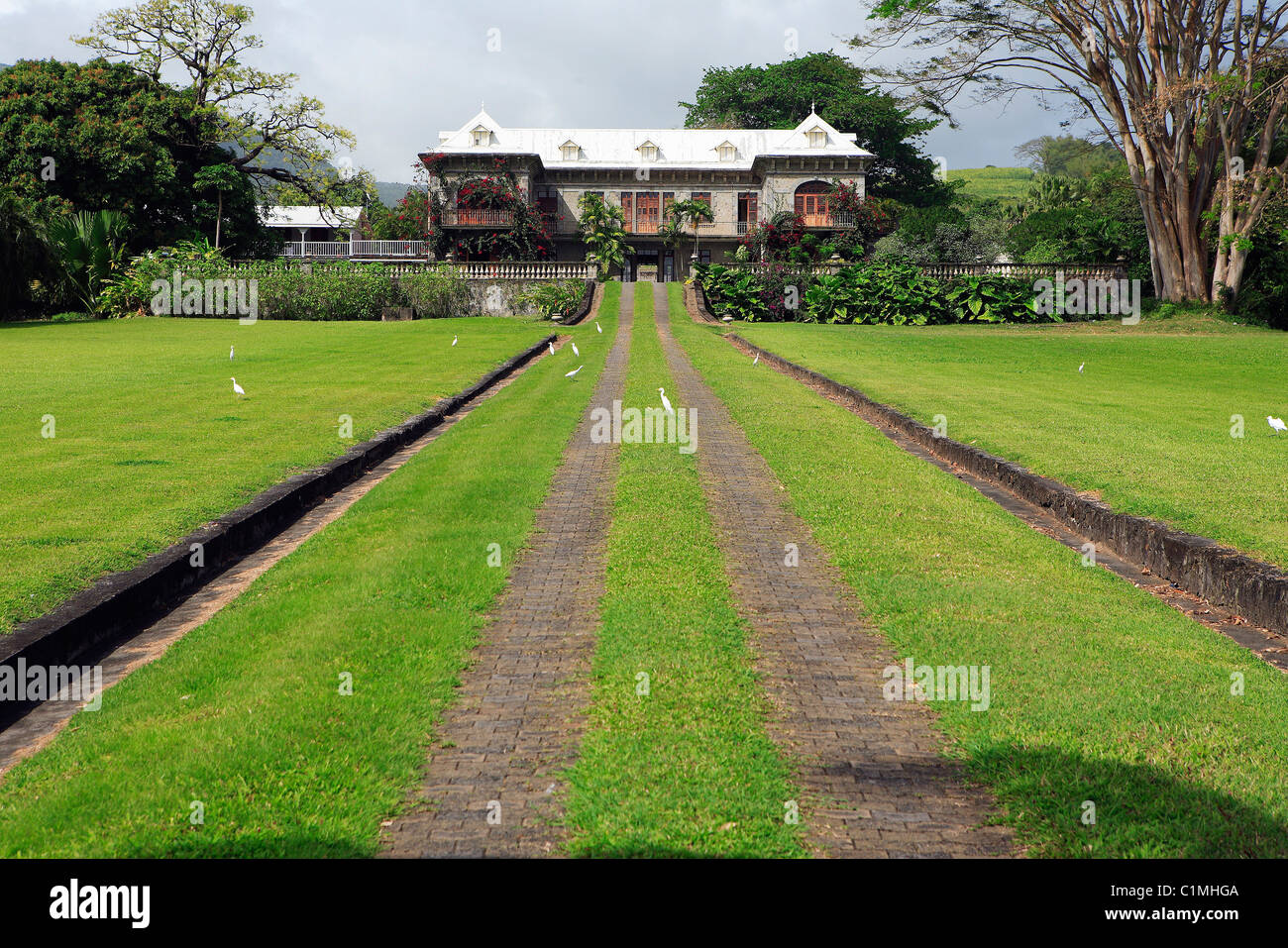 Rhum depaz Stockfotos und -bilder Kaufen - Alamy