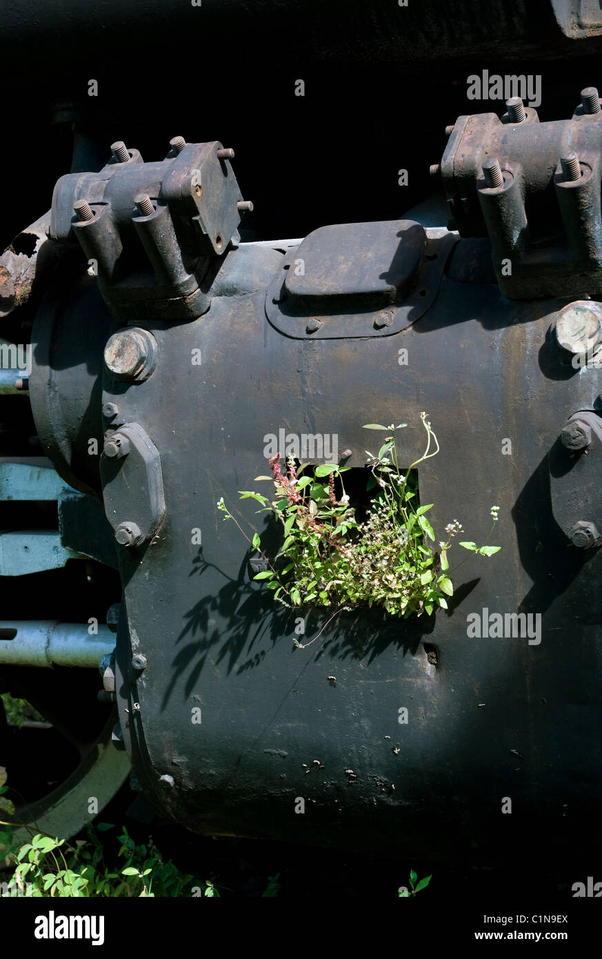 Beyer Garratt Stockfotos und -bilder Kaufen - Alamy